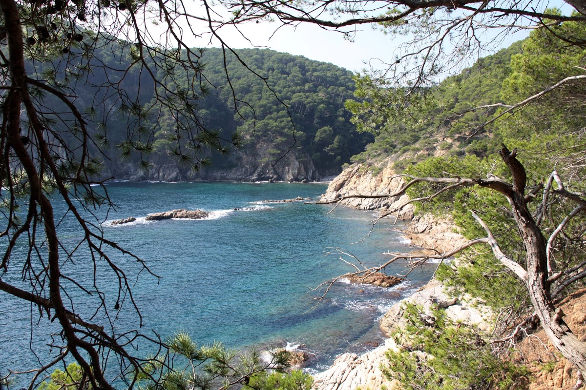 Playa Cala Pedrosa en Palafrugell