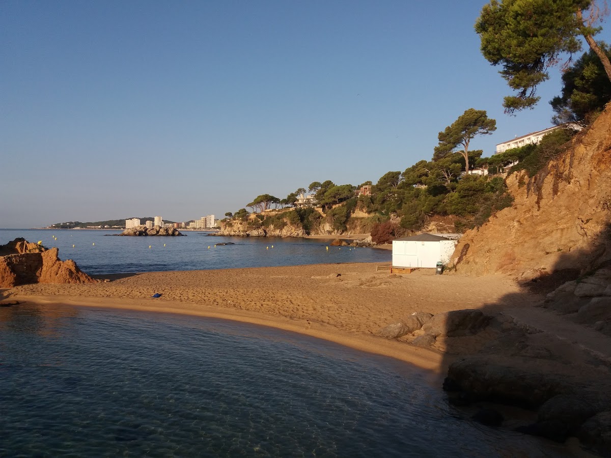 Playa Ses Torretes/Cala Gogó en Calonge